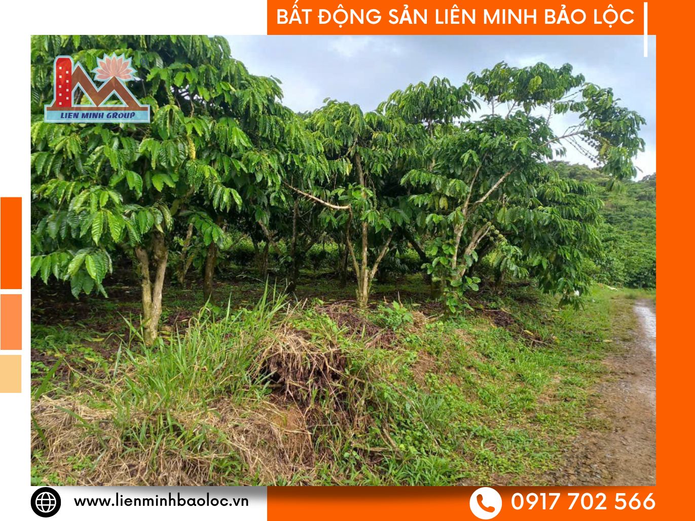 BLD1120-Bán 4 Sào Đất Lộc Châu Bảo Lộc Chỉ 1,8 Tỷ - BẤT ĐỘNG SẢN LIÊN ...